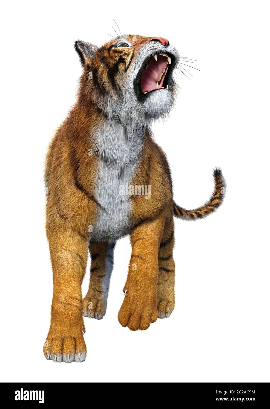 3D rendering of a big cat tiger isolated on white background Stock ...
