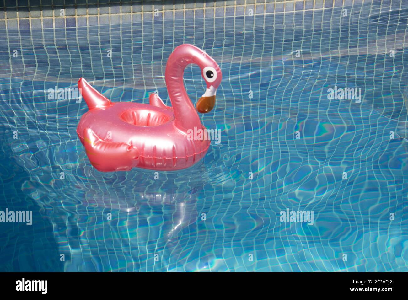 PINK FLAMINGO IN A SWIMMING POOL Stock Photo - Alamy