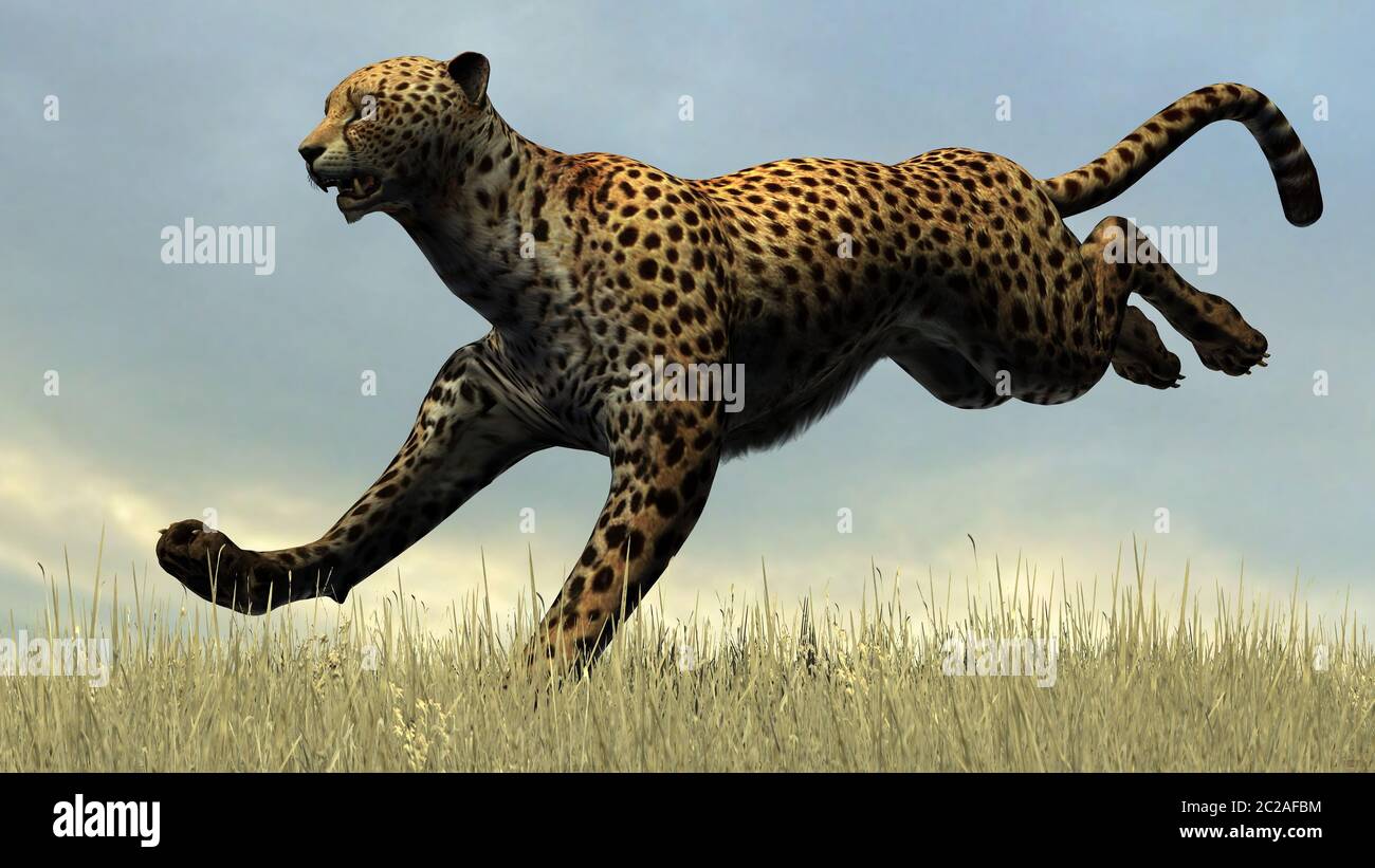 3d digital render jumping cheetah hi-res stock photography and images ...