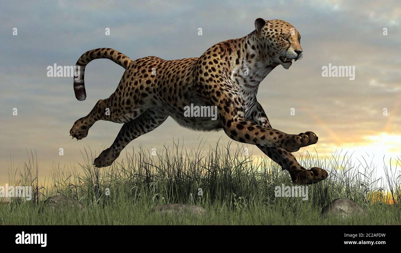 3D digital render of a jumping cheetah in the nature Stock Photo - Alamy