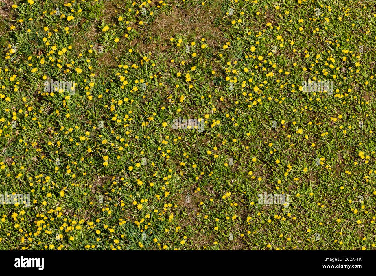 Meadow from above hi-res stock photography and images - Alamy