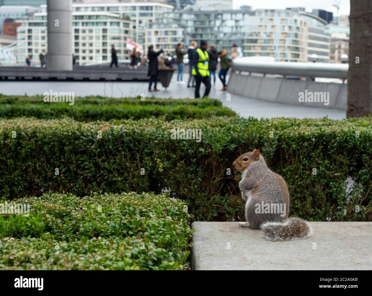 Urban habitat hi-res stock photography and images - Alamy