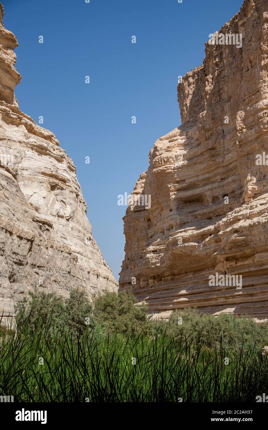 Israel Negev Desert Sede Boker. Great view of the Nakhal Tsin rift. Beautiful mountains with ...