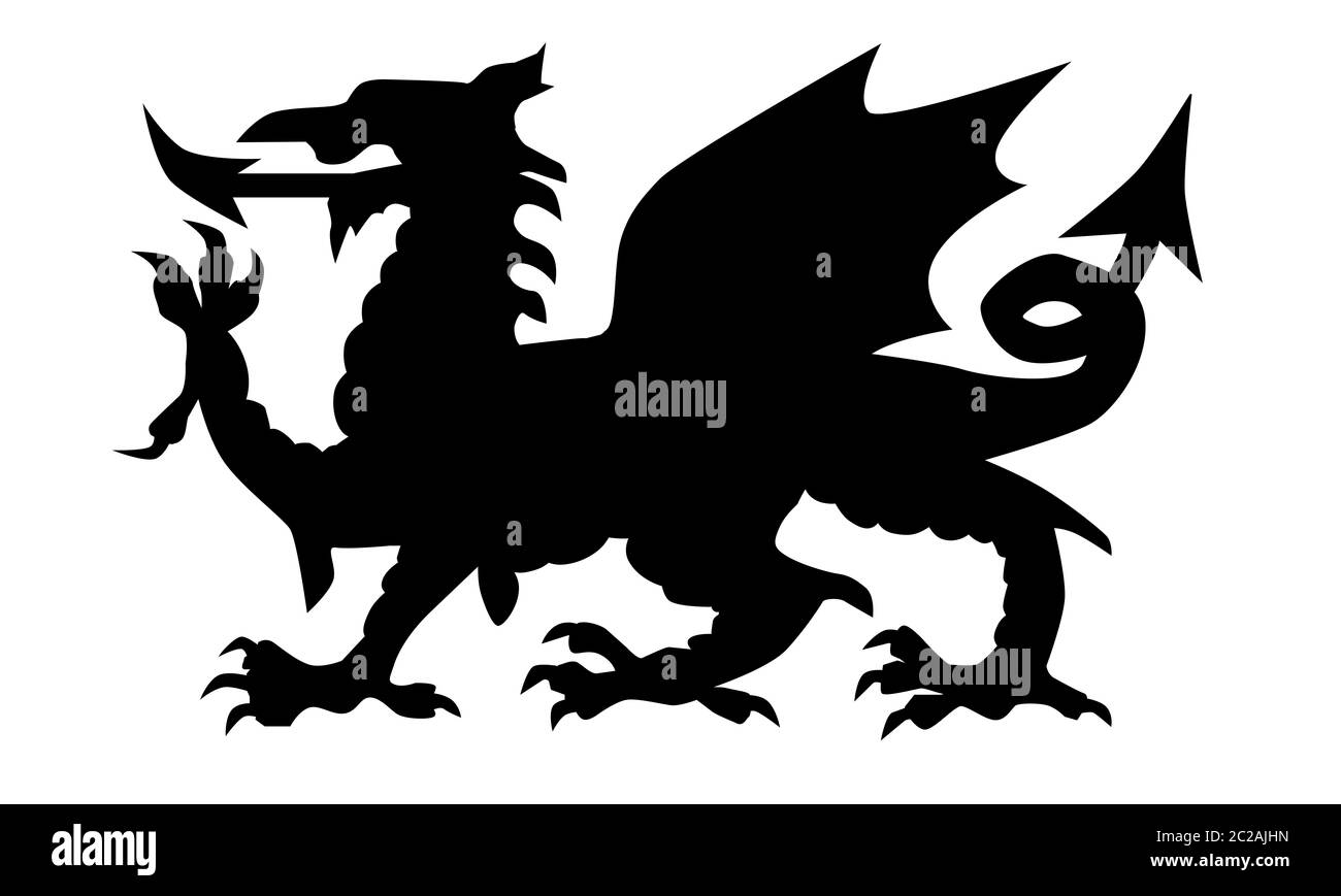 The Welsh Dragon in black silhouette set over a white background Stock ...