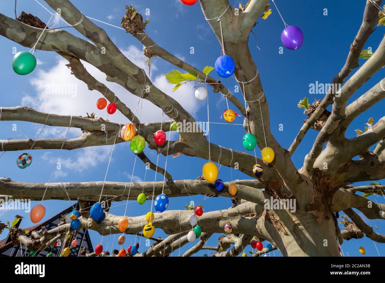 Easter tree hi-res stock photography and images - Alamy