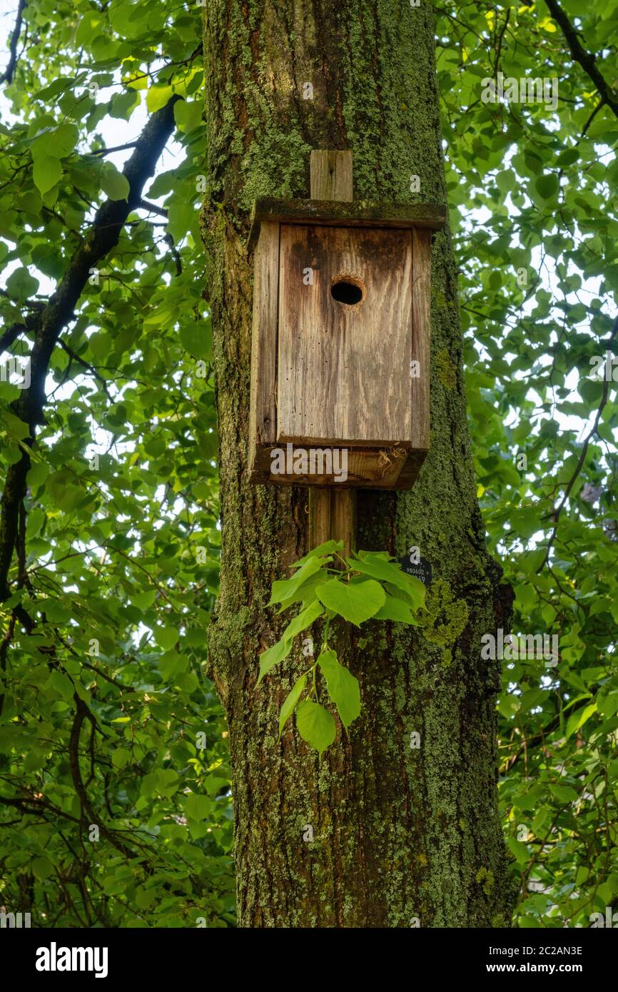 Breeding aid hi-res stock photography and images - Alamy