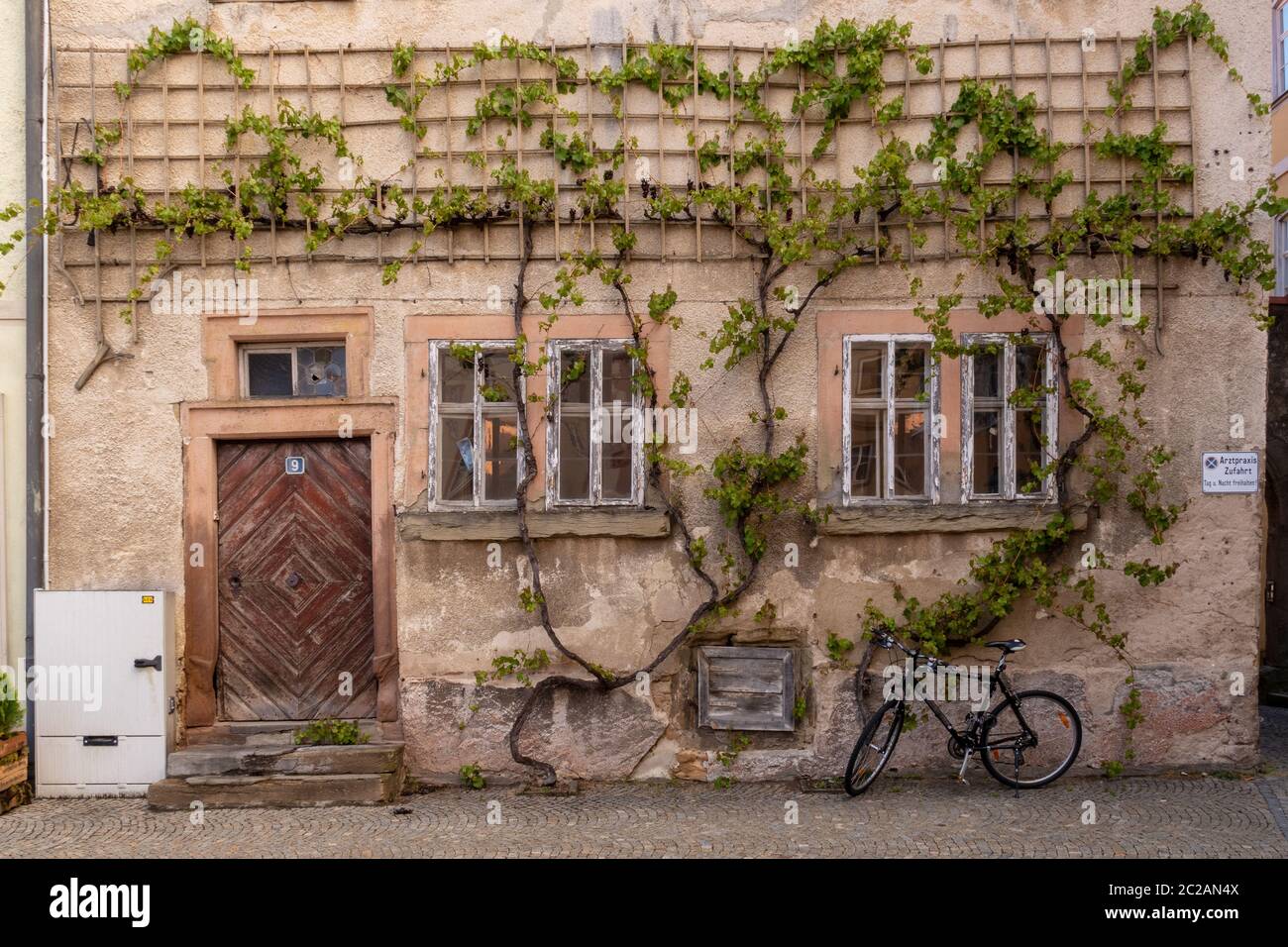 Old house with vine on the facade Stock Photo - Alamy