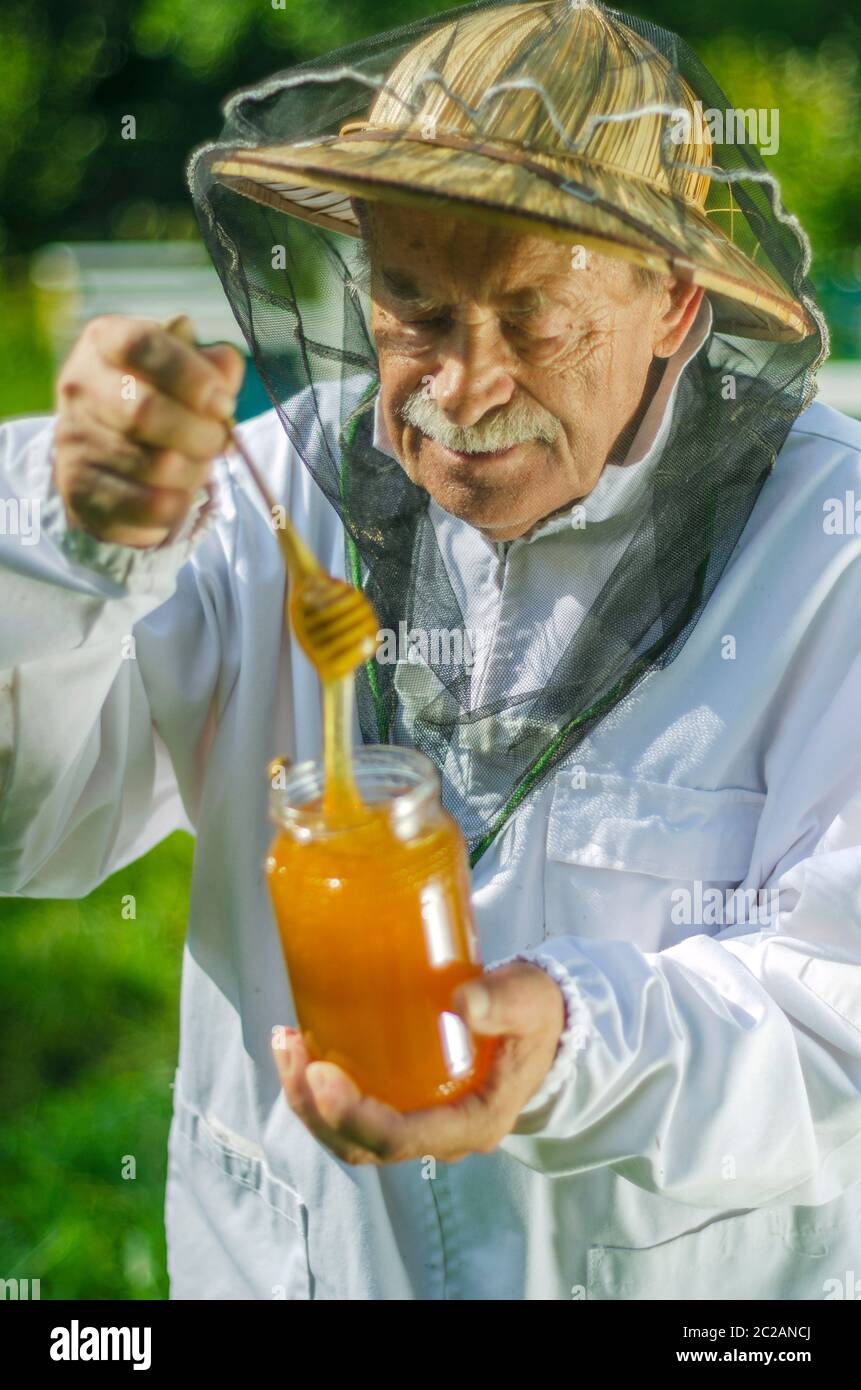 senior apiarist checking his honey in apiary Stock Photo - Alamy