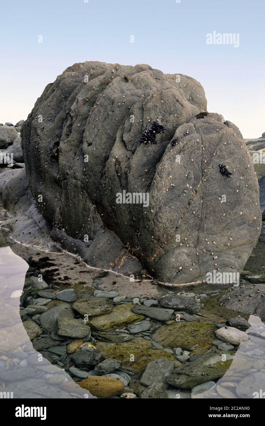 Reef rock hi-res stock photography and images - Alamy