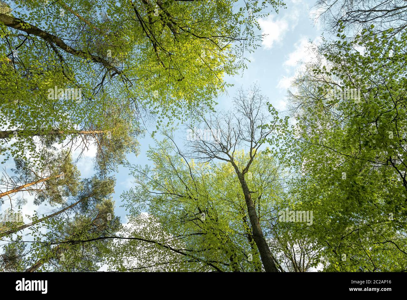 Living in harmony hi-res stock photography and images - Alamy