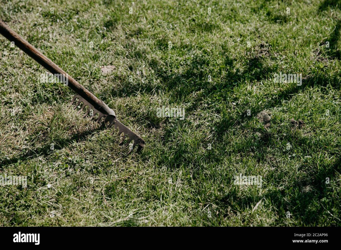 Moss rake hi-res stock photography and images - Alamy