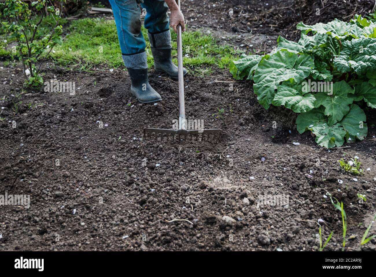 Gardening raking soil hi-res stock photography and images - Alamy