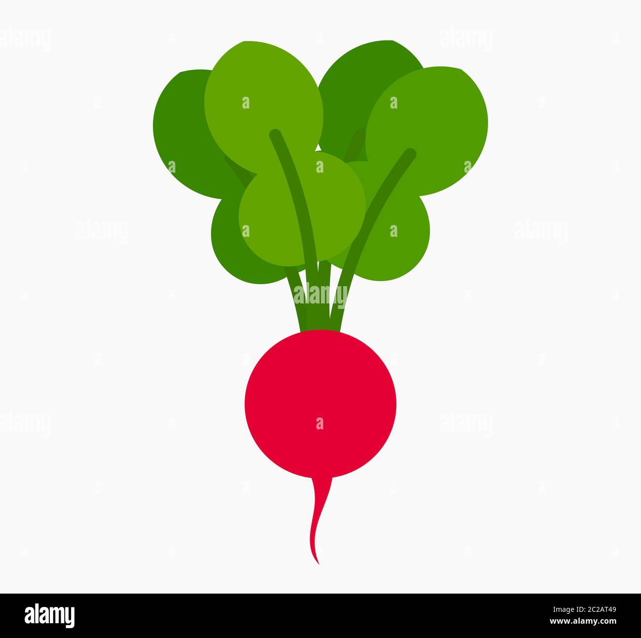 Red radish icon. Vector illustration Stock Vector Image & Art - Alamy
