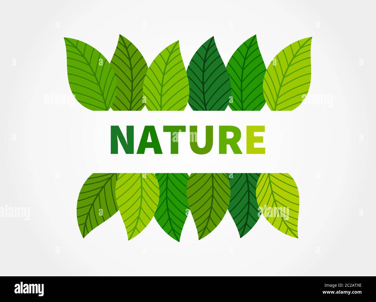 Nature leaf border. Vector illustration Stock Vector Image & Art - Alamy