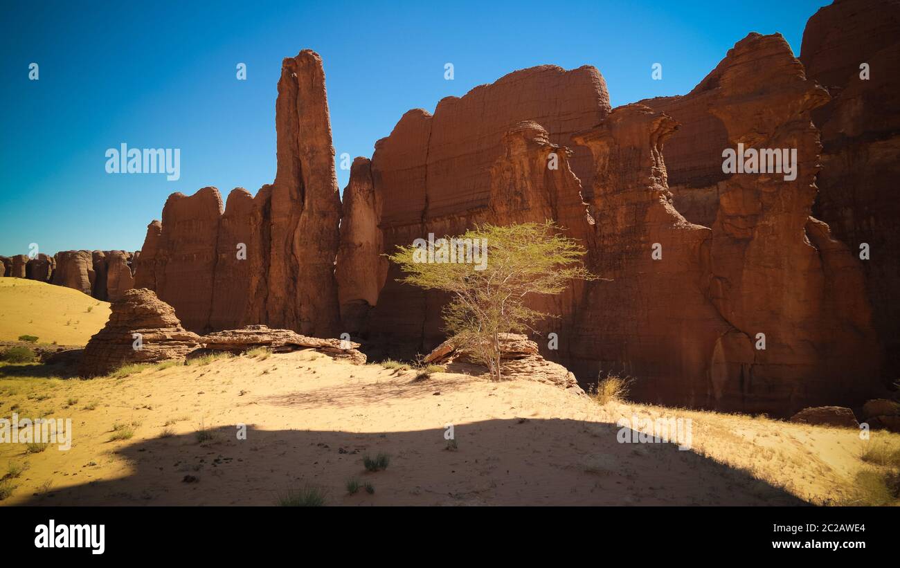 Abstract Rock formation at plateau Ennedi aka stone forest in Chad ...
