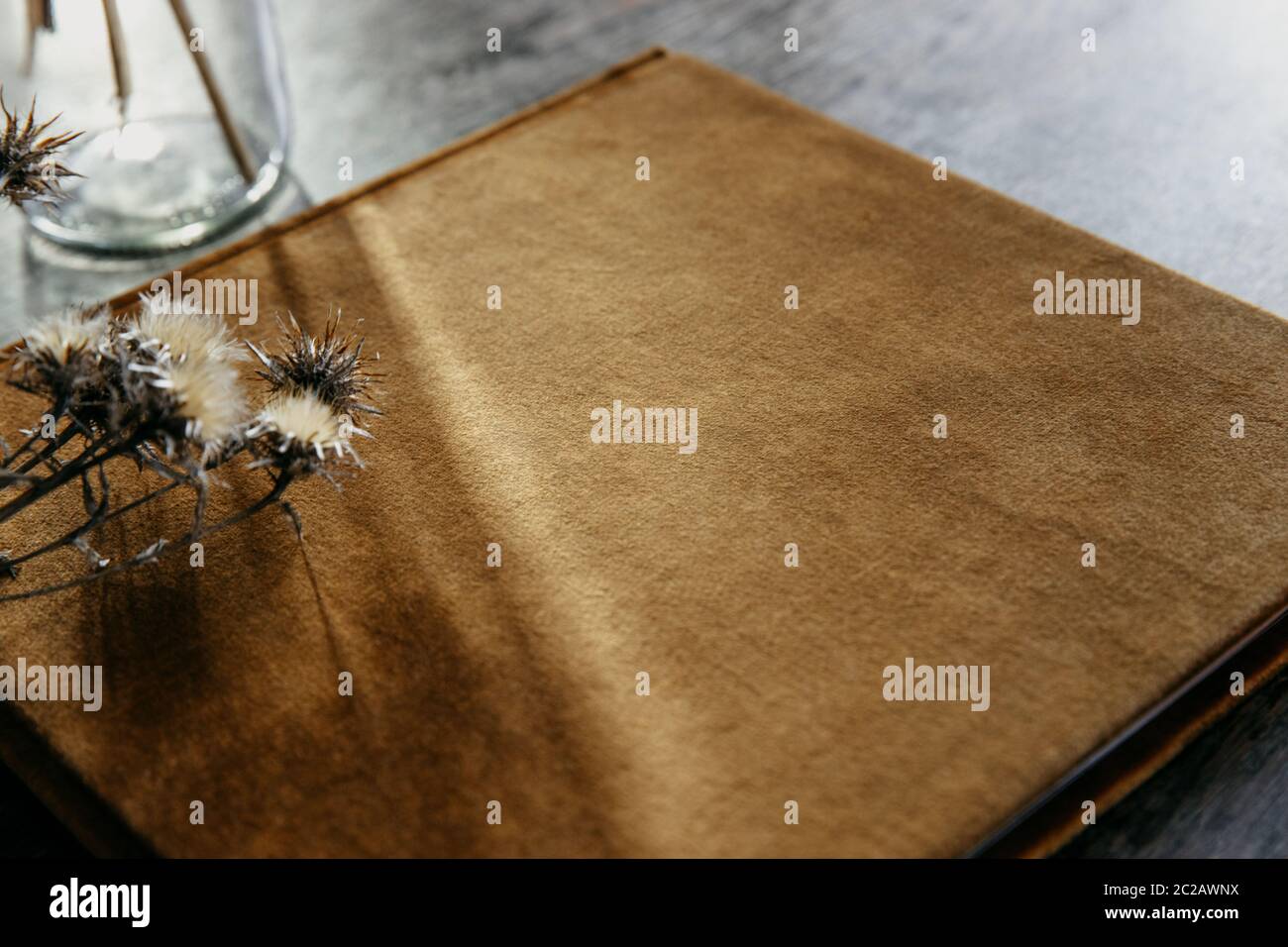 Photo album in a textile, velvet binding for pasting photos, close up ...