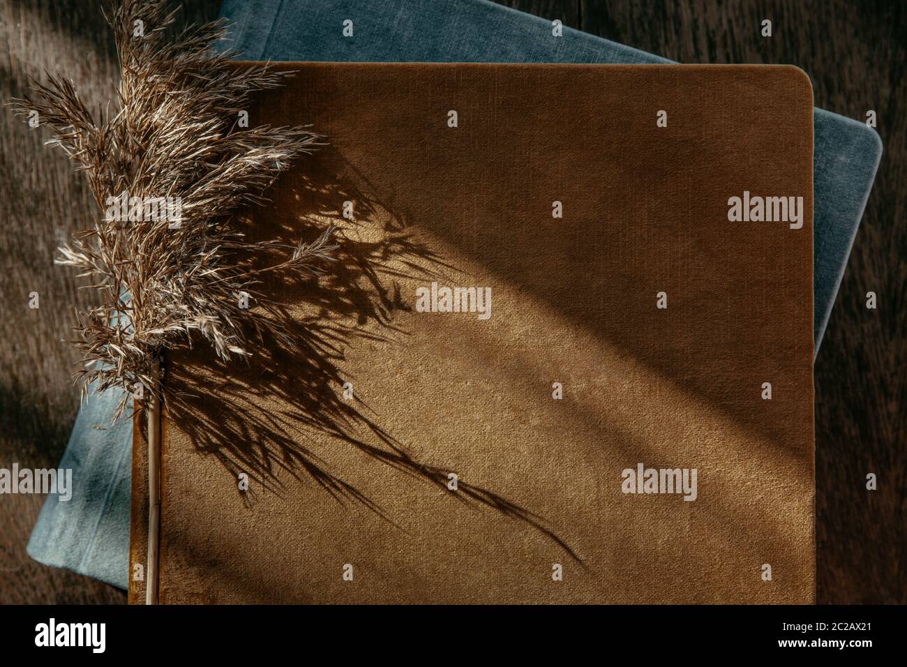 Photo album in a textile, velvet binding for pasting photos, top view ...