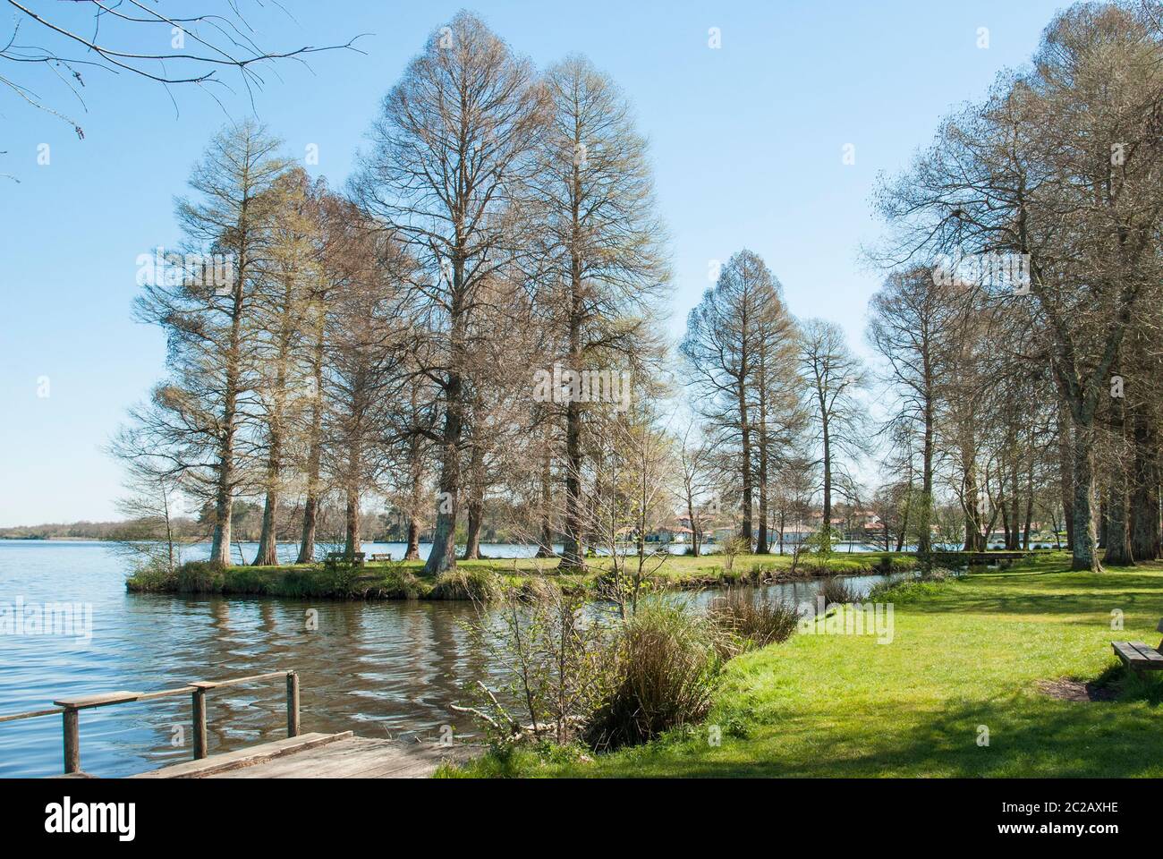 France Forests High Resolution Stock Photography and Images - Alamy