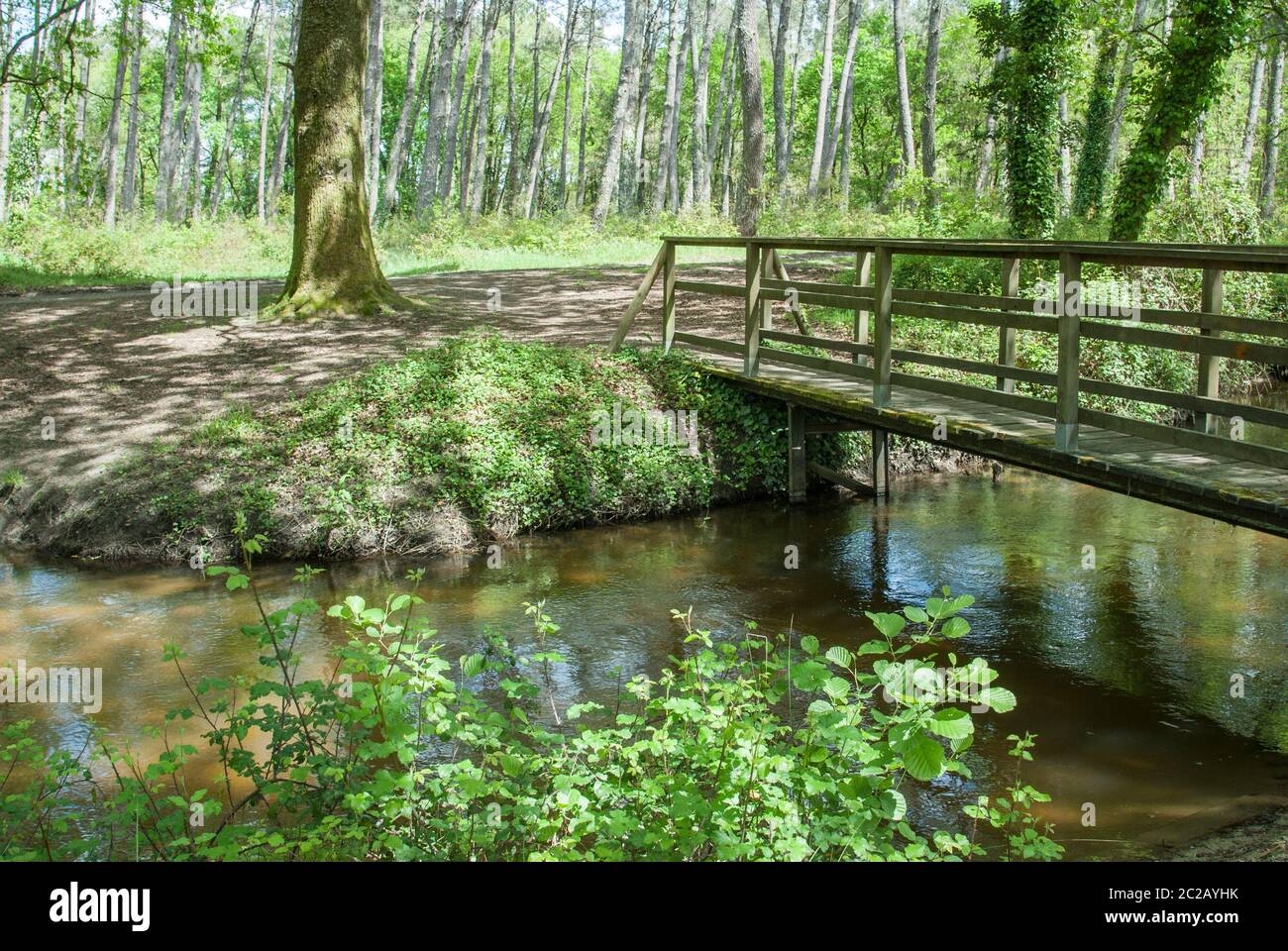 France Forests High Resolution Stock Photography and Images - Alamy