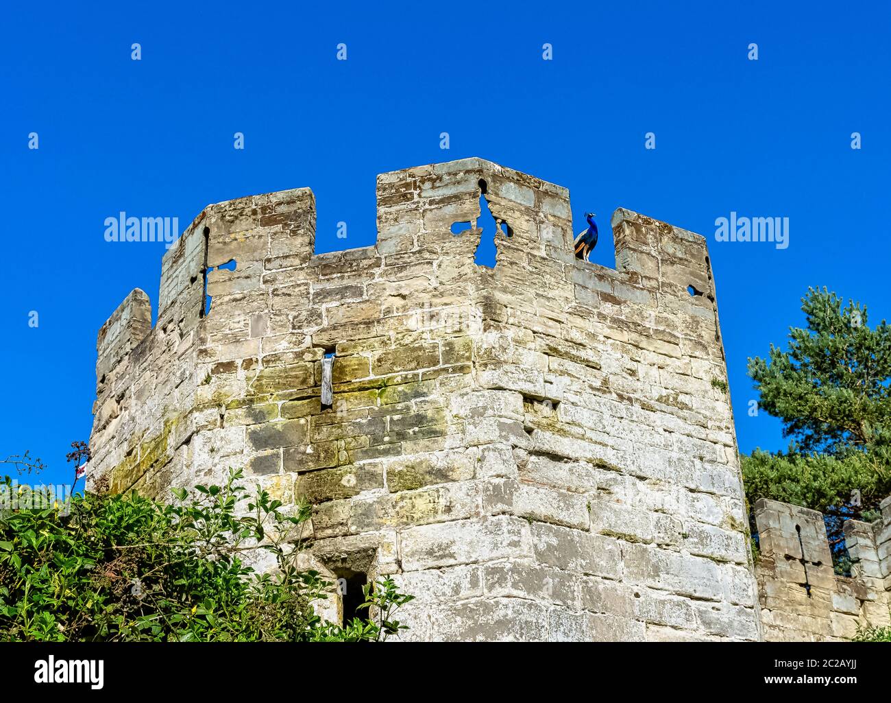 Peacock castle hi-res stock photography and images - Alamy