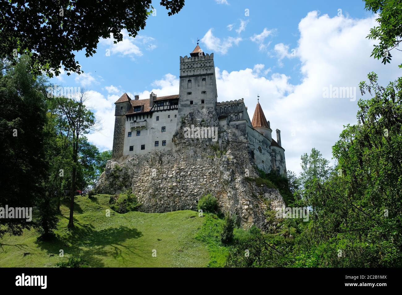 Tree Bran High Resolution Stock Photography and Images - Alamy