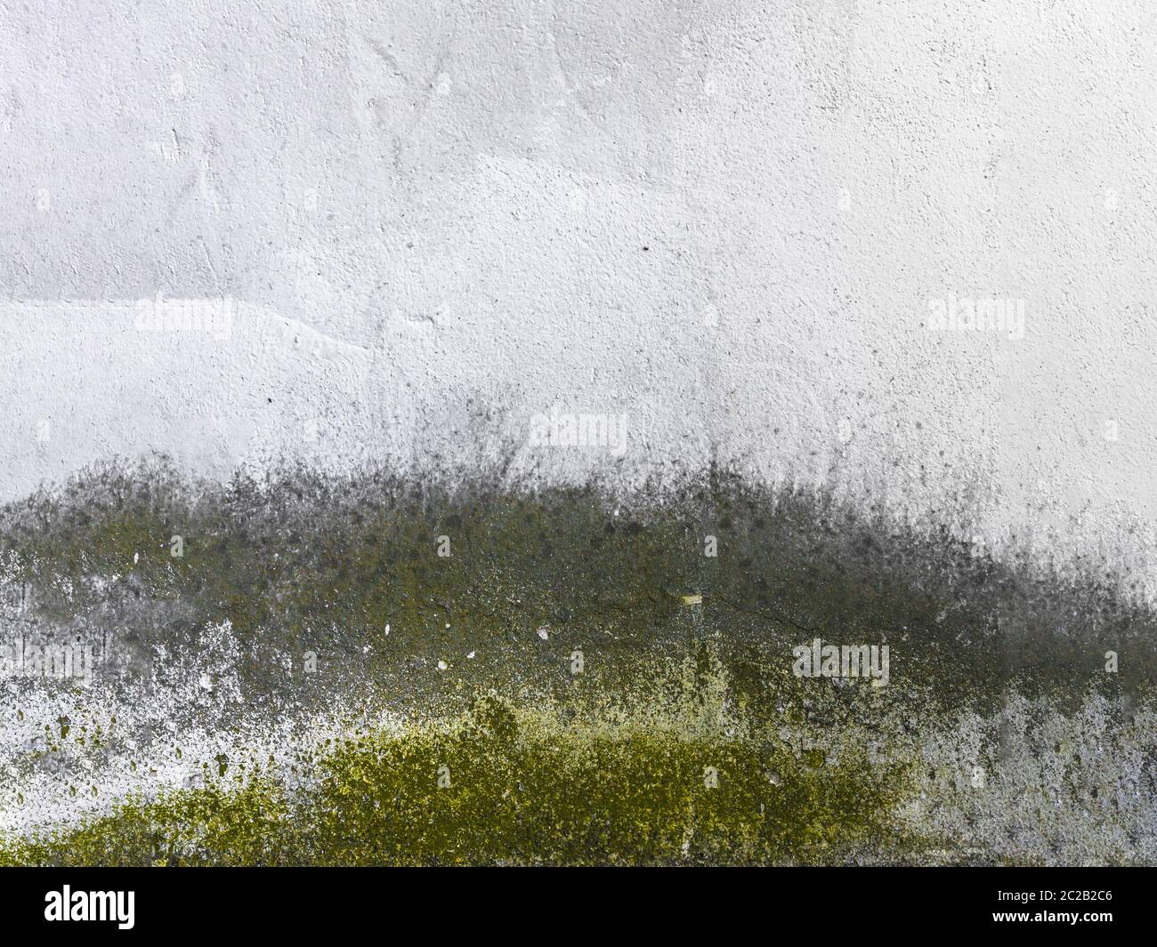 Dirty fungus or mold on the wall texture background Stock Photo - Alamy