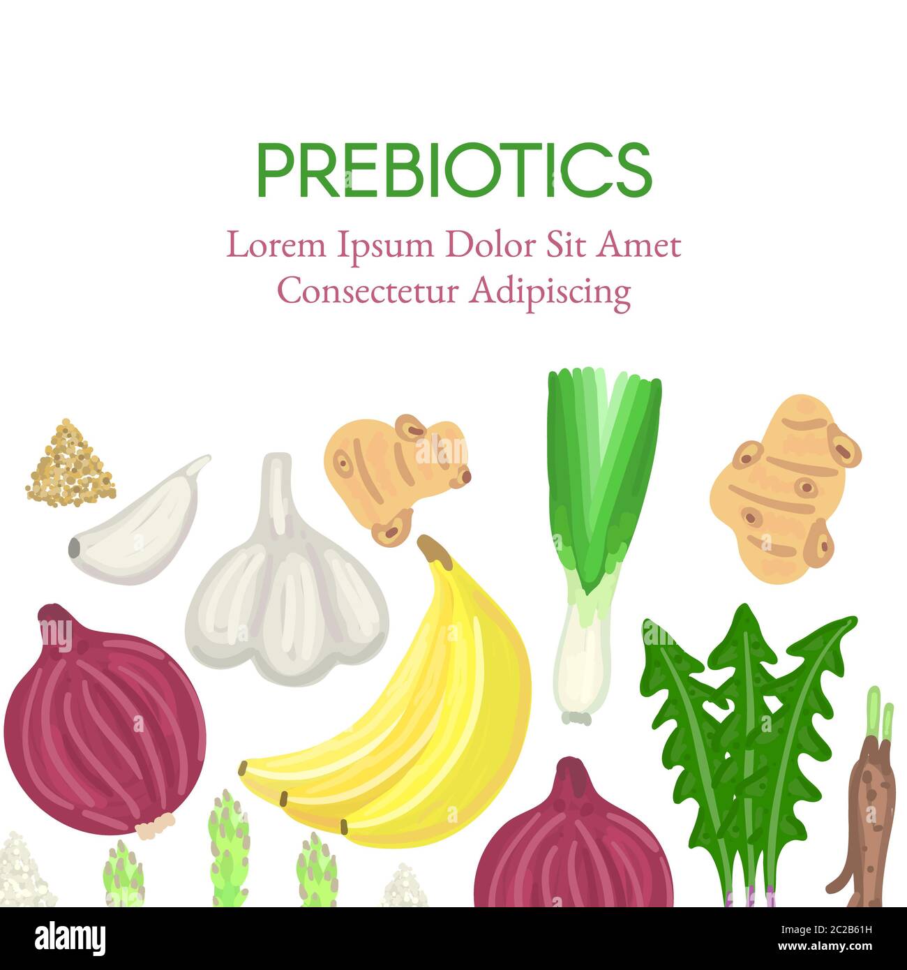 Prebiotic food. Nutrition. Nondigestible fibers. Gastrointestinal ...