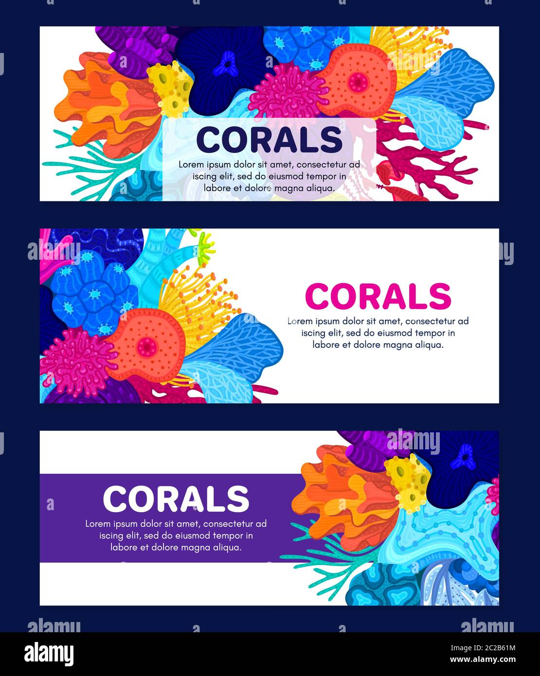 Vector composition of corals. Background with colorful sea or ocean ...