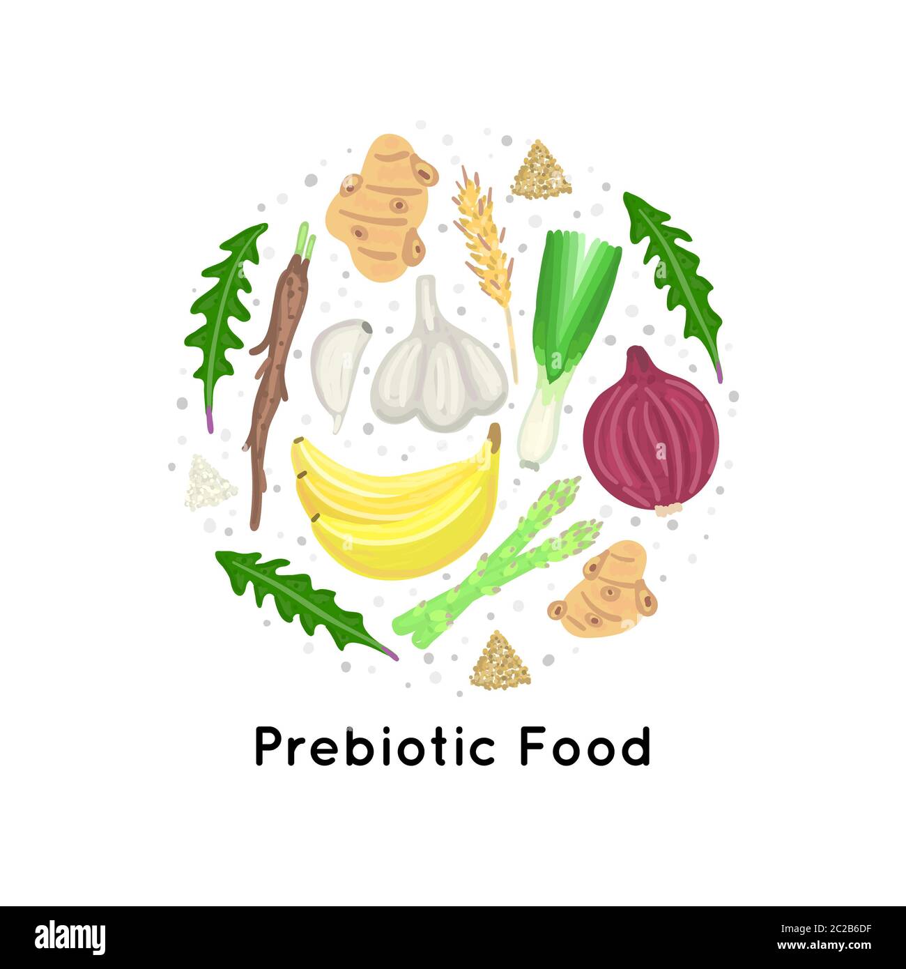 Prebiotic food. Nutrition. Nondigestible fibers. Gastrointestinal ...