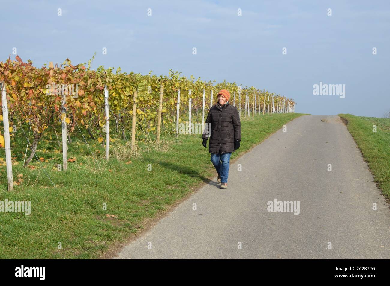 Vineyard slope hi-res stock photography and images - Alamy