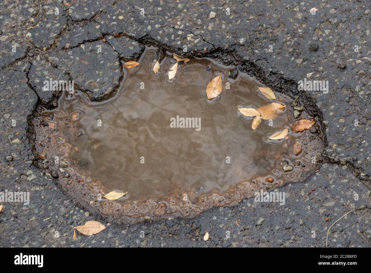 Small dry leaves caught up in a pool of rain water formed in a pothole ...