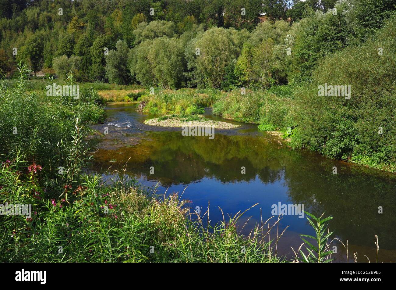 View on the MÃ¶hne river in summer, with lowland riparian forest Stock ...