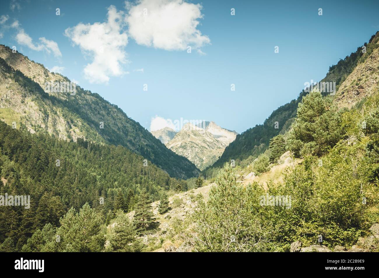 hiking path with trees and vegetation in the Pyrenees mountains in ...