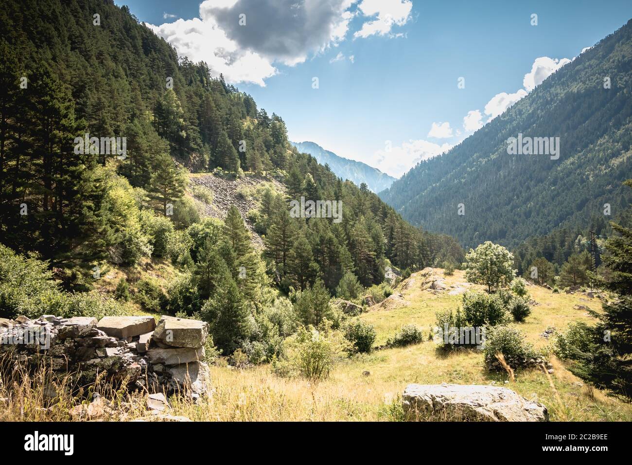 hiking path with trees and vegetation in the Pyrenees mountains in ...
