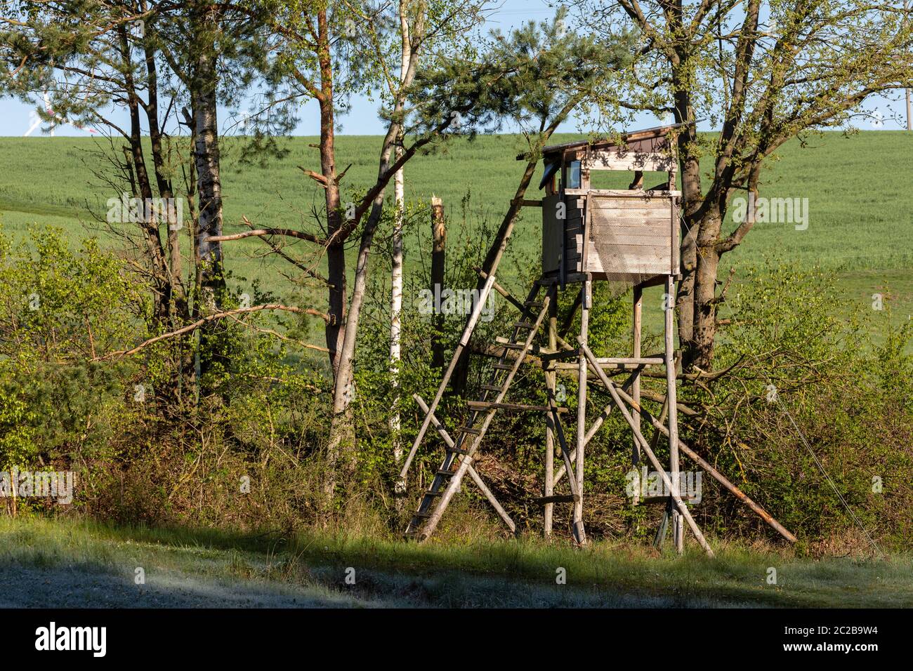 Rural ground game hunting hi-res stock photography and images - Alamy