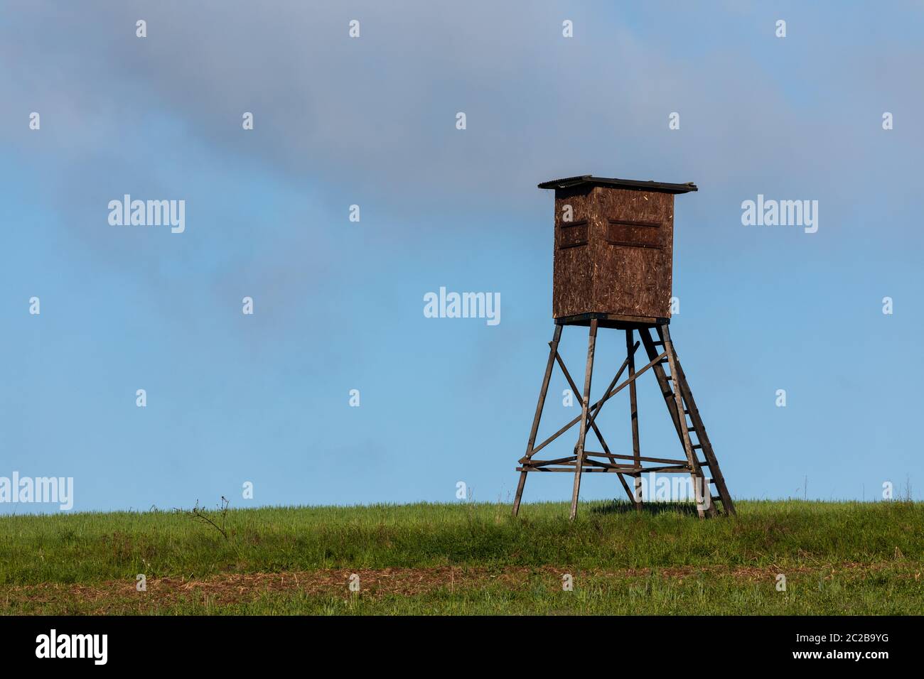 Rural ground game hunting hi-res stock photography and images - Alamy