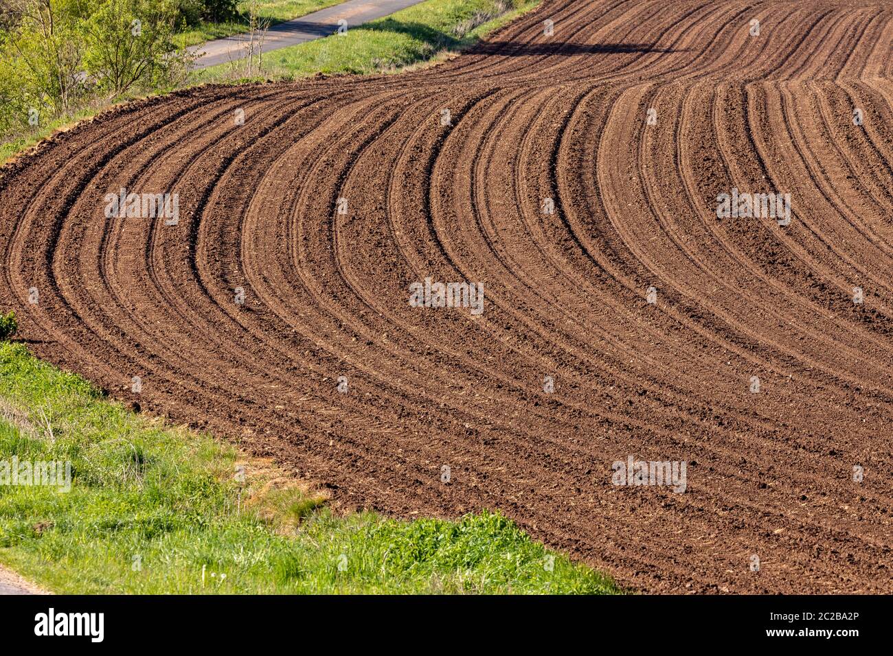Grain fields and sowing in spring Stock Photo - Alamy