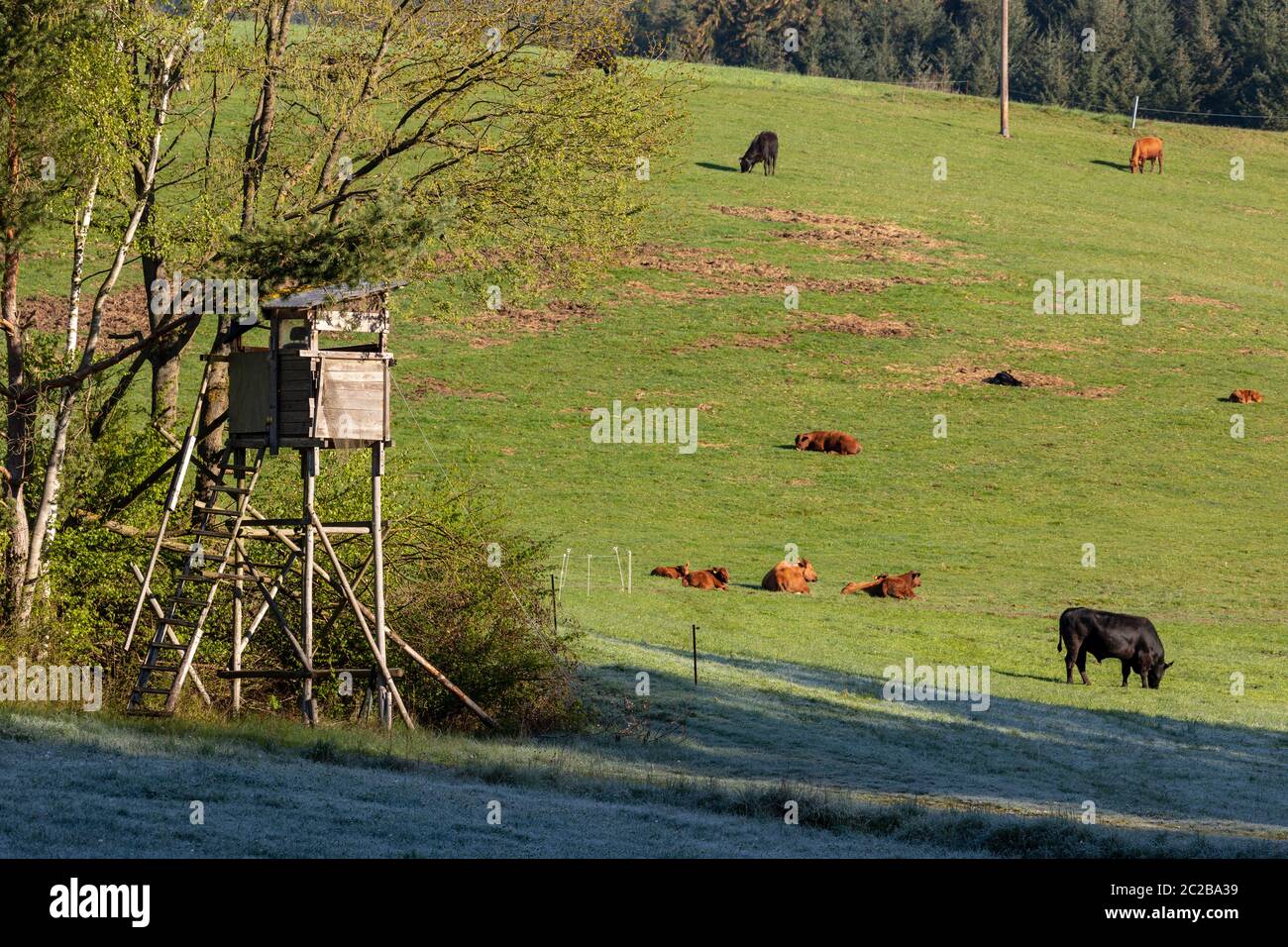 Rural ground game hunting hi-res stock photography and images - Alamy