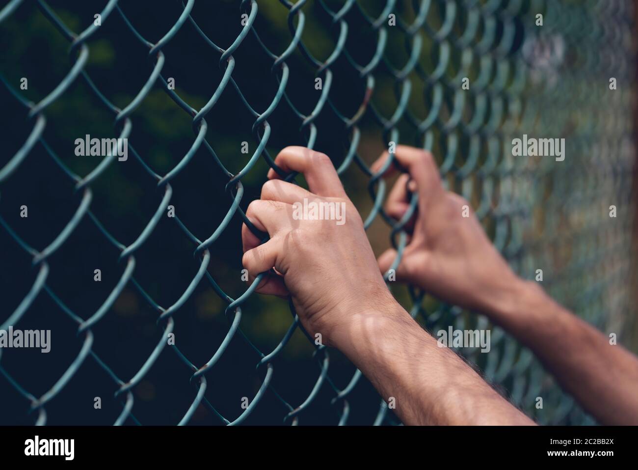 Young man hand holding on chain link fence for freedom, Human Rights ...