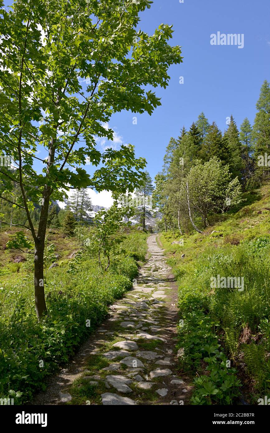 Mountain pass of Montets Stock Photo - Alamy