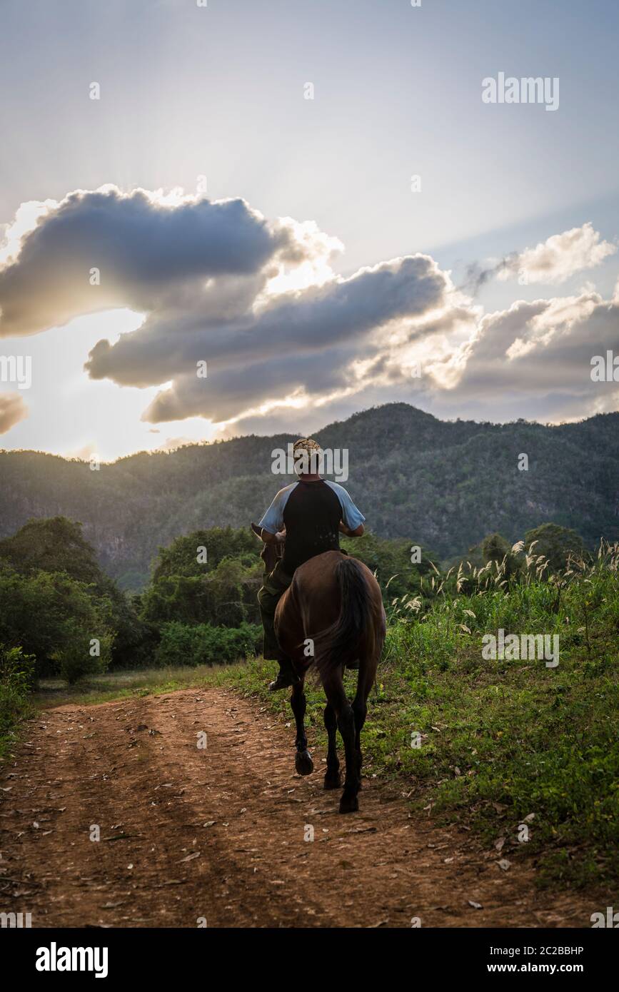 Back view man horseback hi-res stock photography and images - Alamy