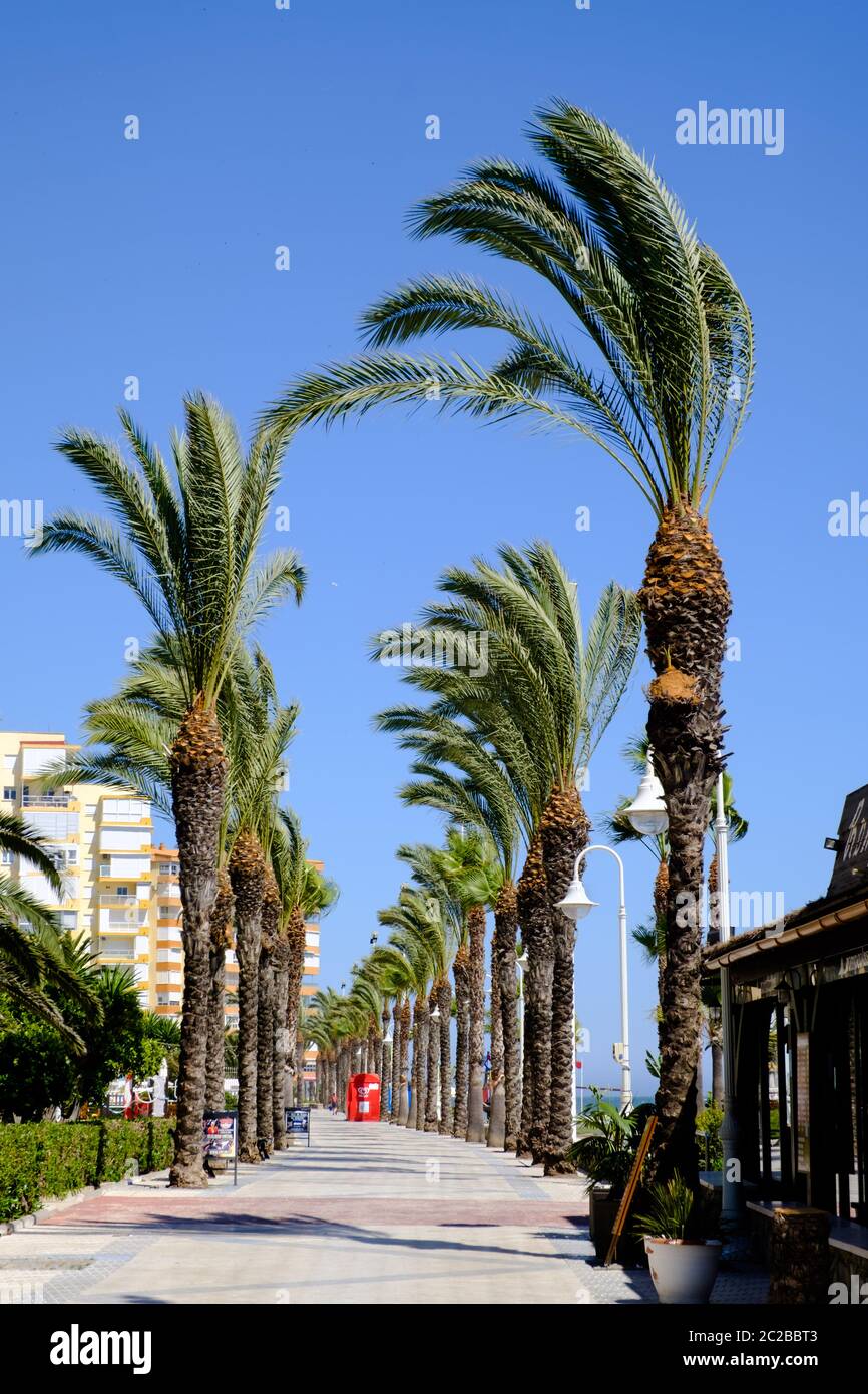 Traditional Spanish architecture on the beach front in Algarrabo ...