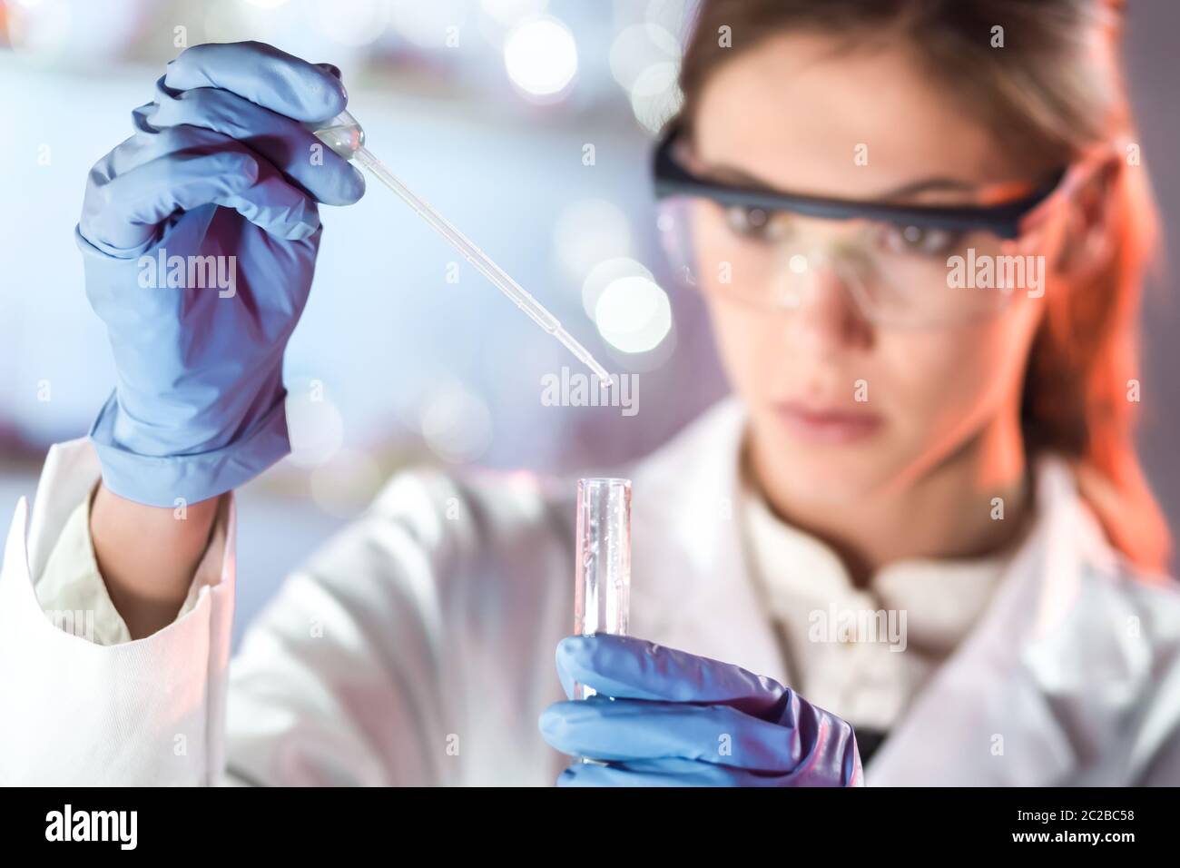 Life scientists researching in laboratory. Focused female life science ...