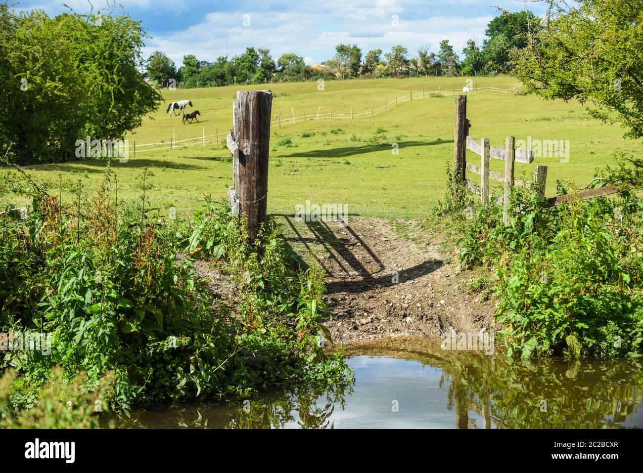 Open gate to a field at a nature reserve during a warm summer day Stock ...