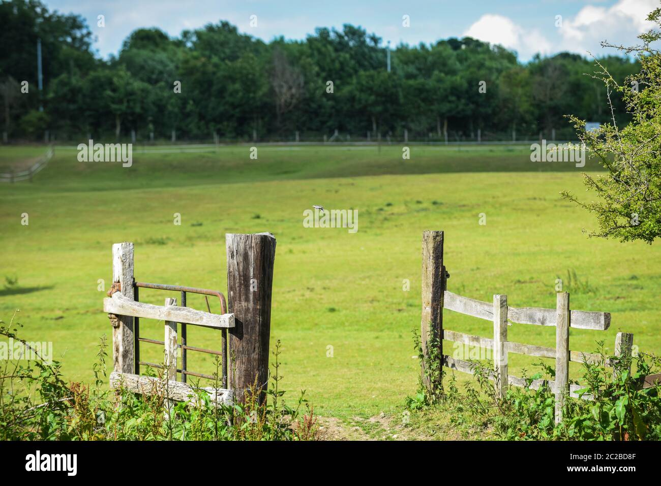 Open gate to a field at a nature reserve during a warm summer day Stock ...