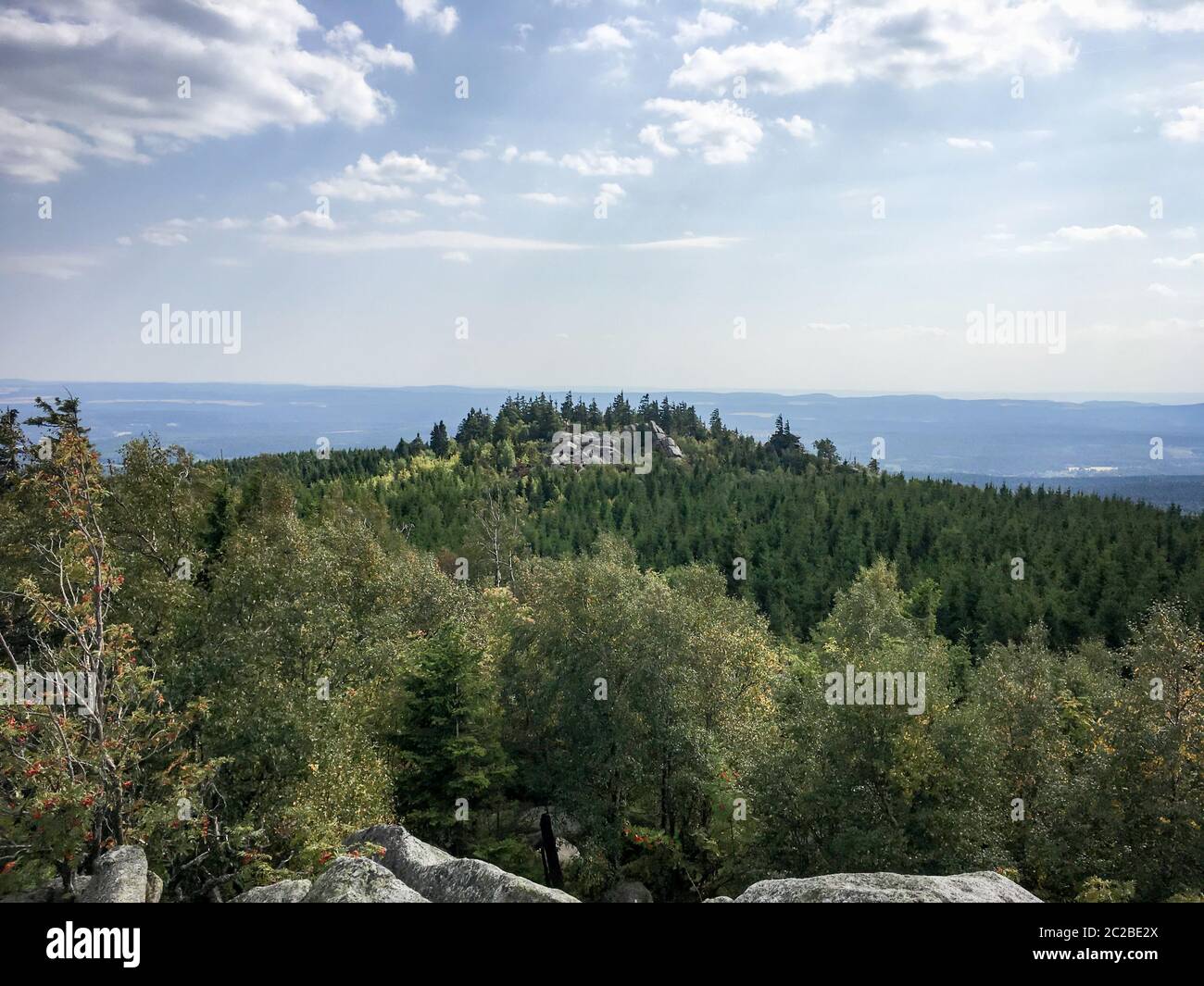 High conifer forest hi-res stock photography and images - Alamy