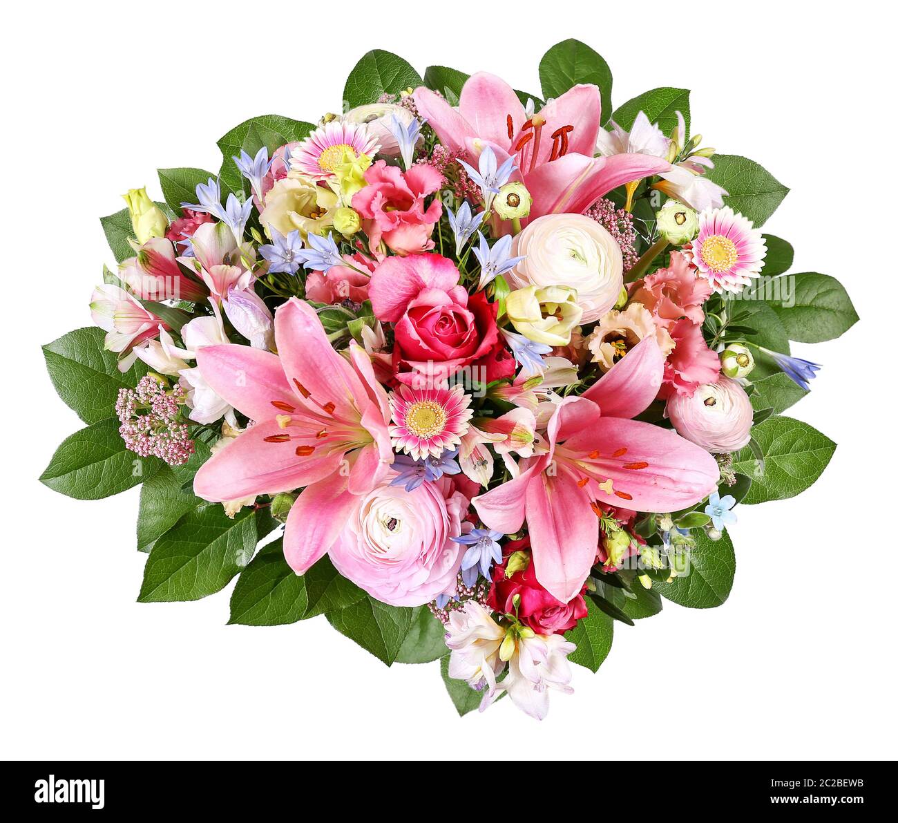 Beautiful red flowers silk Cut Out Stock Images & Pictures - Alamy