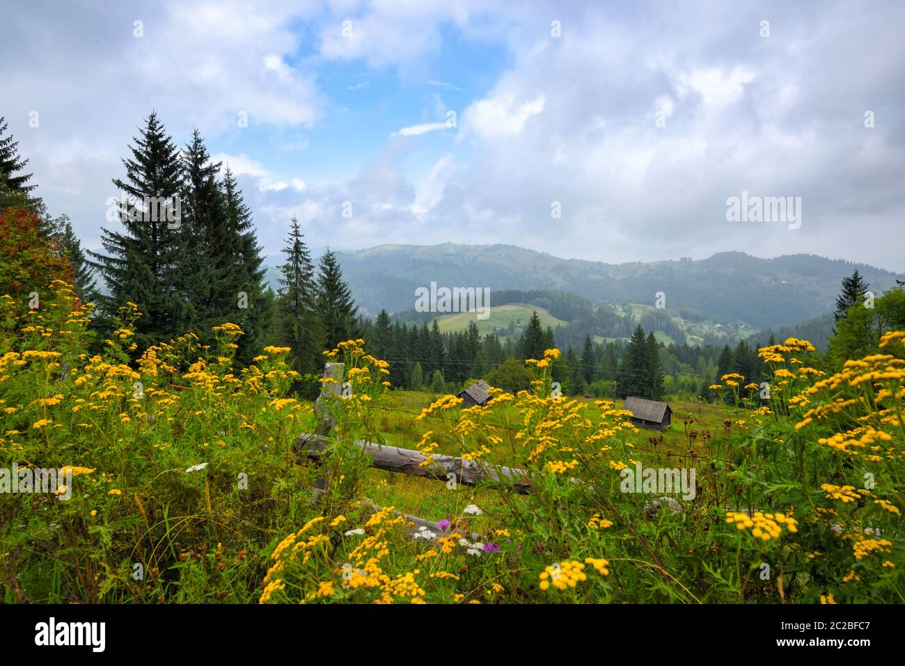 Carpathians mountain landscape in summer day Stock Photo - Alamy