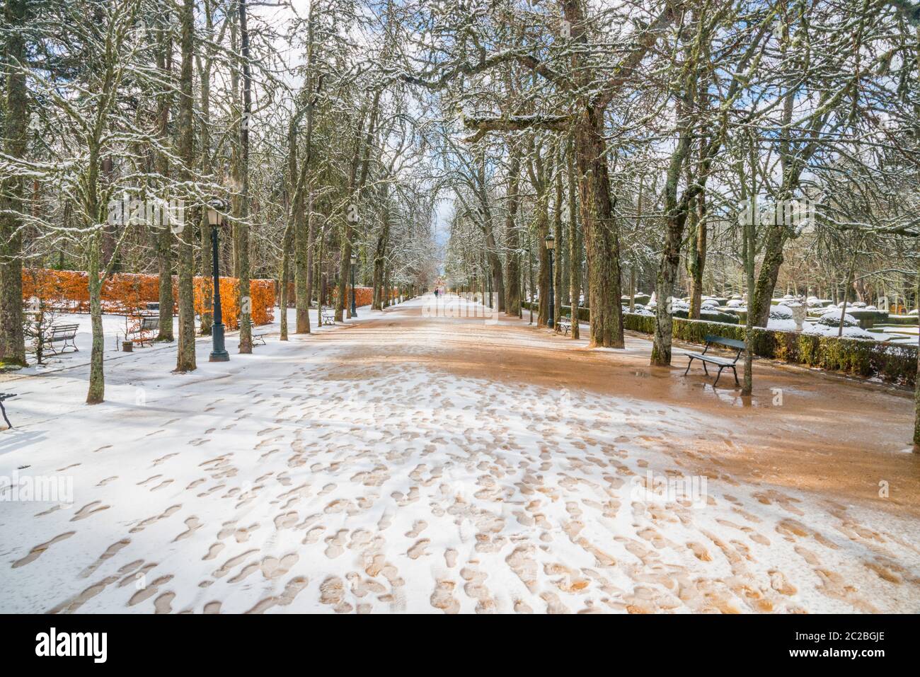 Snow covered gardens. La Granja de San Ildefonso, Segovia province ...