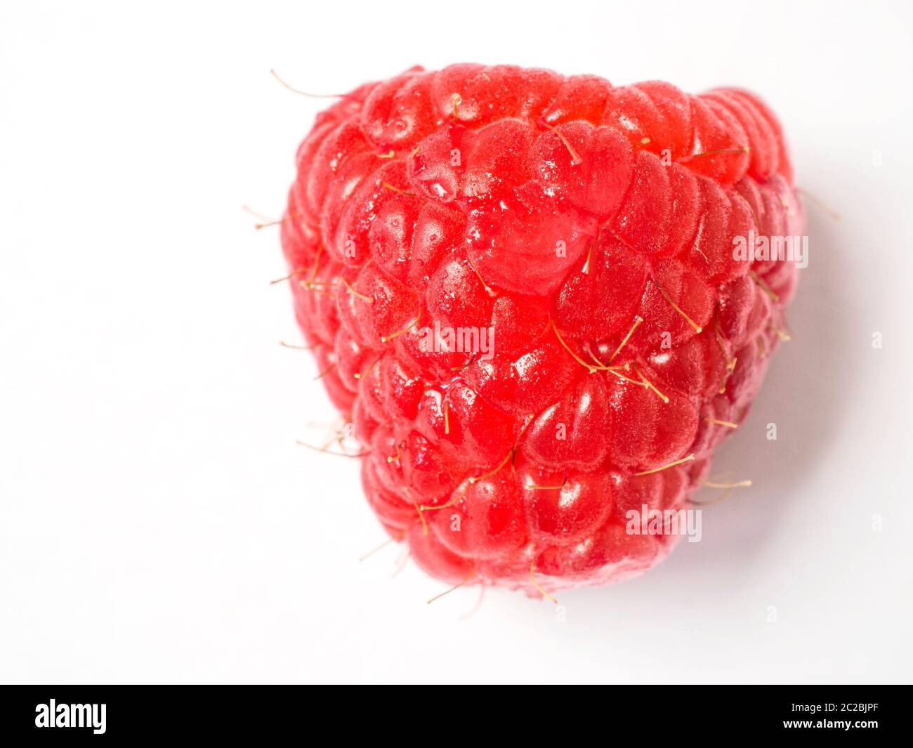 A single raspberry on a white background with copy space Stock Photo ...